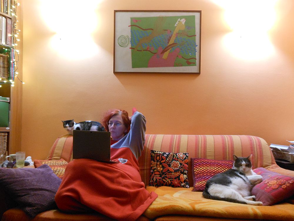 9/82 – Tollasbál | Minden nap más - mindennap más