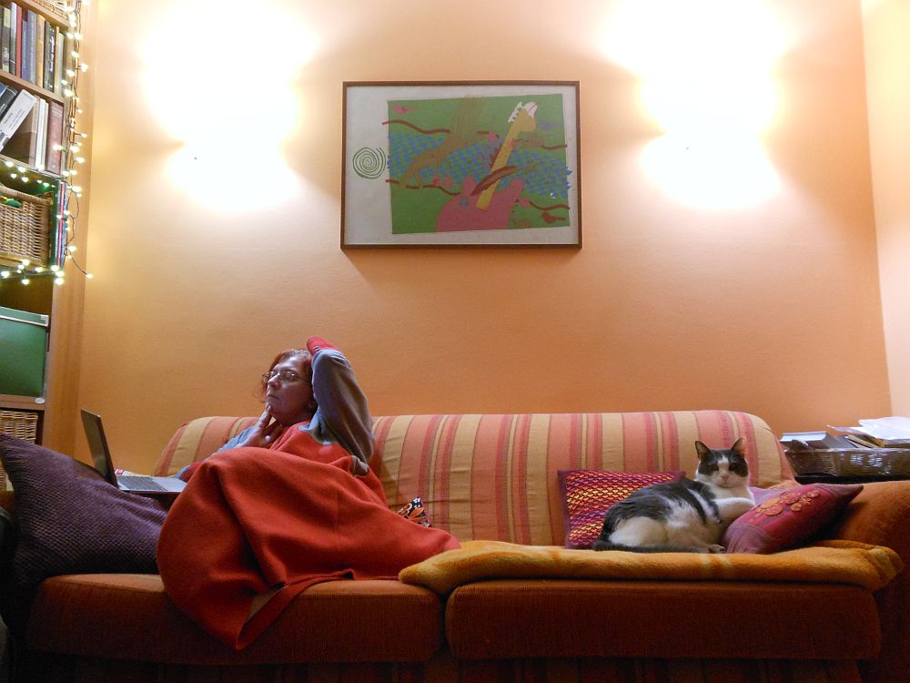 9/82 – Tollasbál | Minden nap más - mindennap más